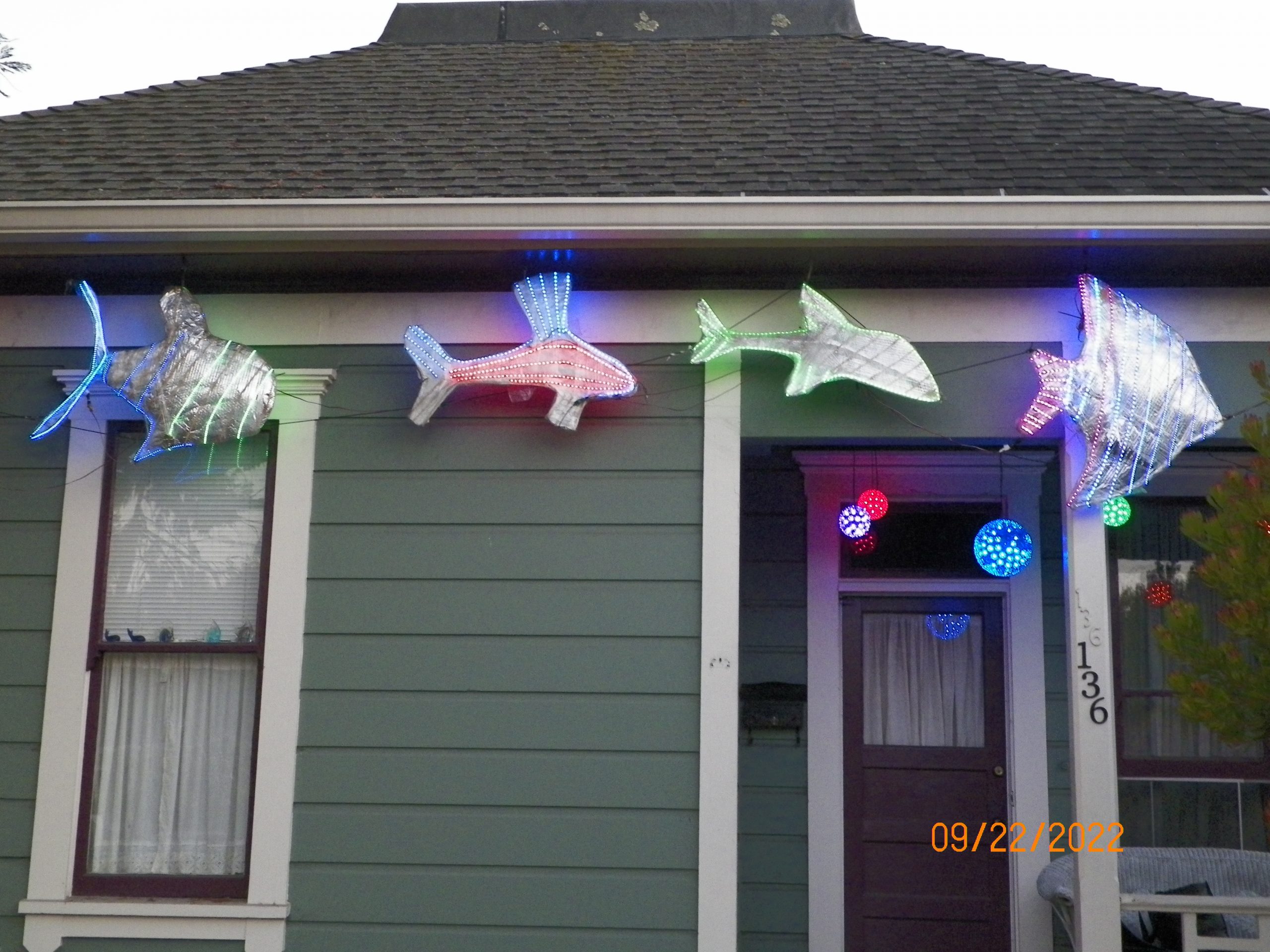 Hash Twelve-11:Belted in the Banana Belt - Surf City Hash House Harriers