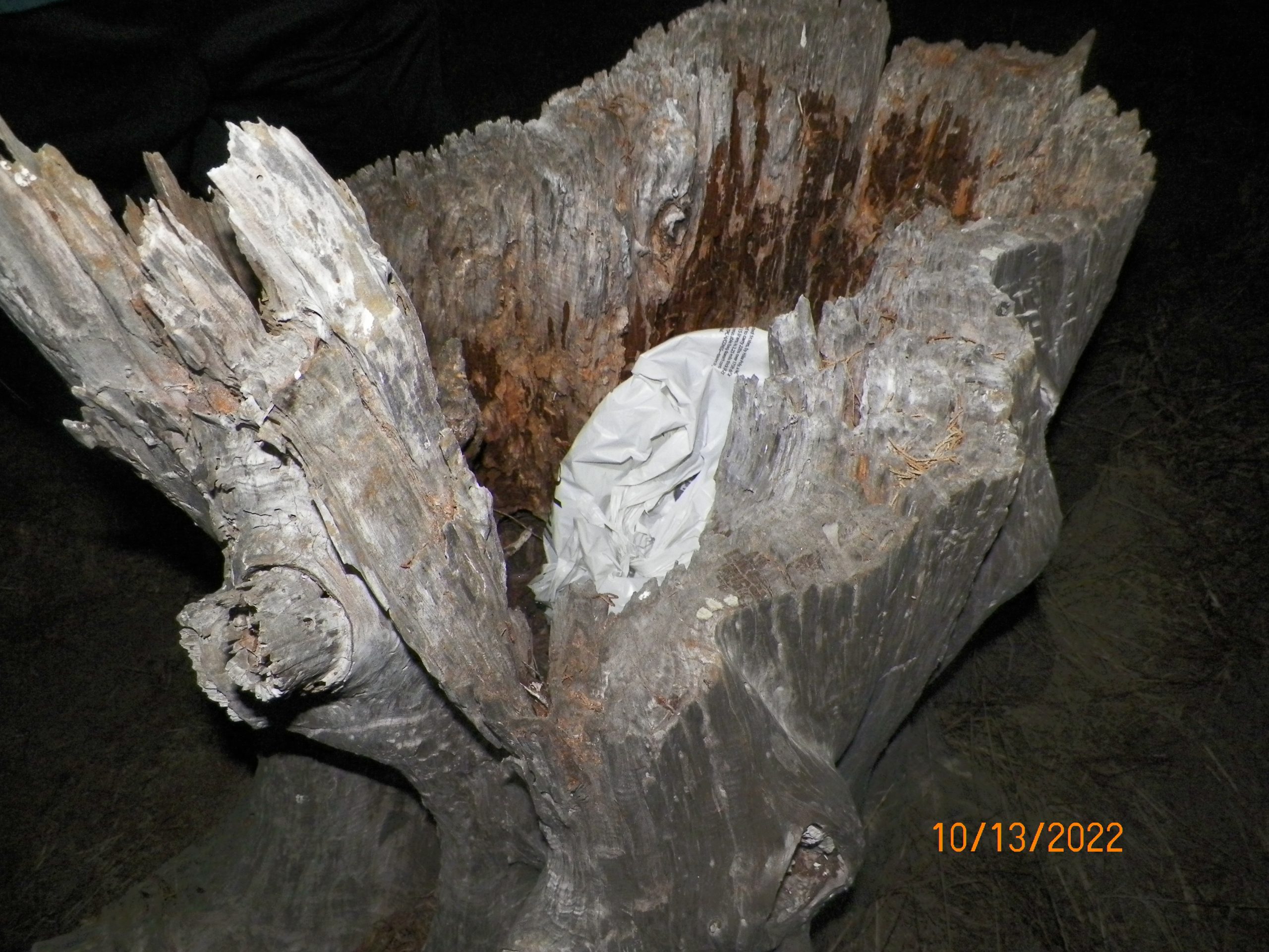 Hash Twelve-14: Chalk Darker Than Night - Surf City Hash House Harriers