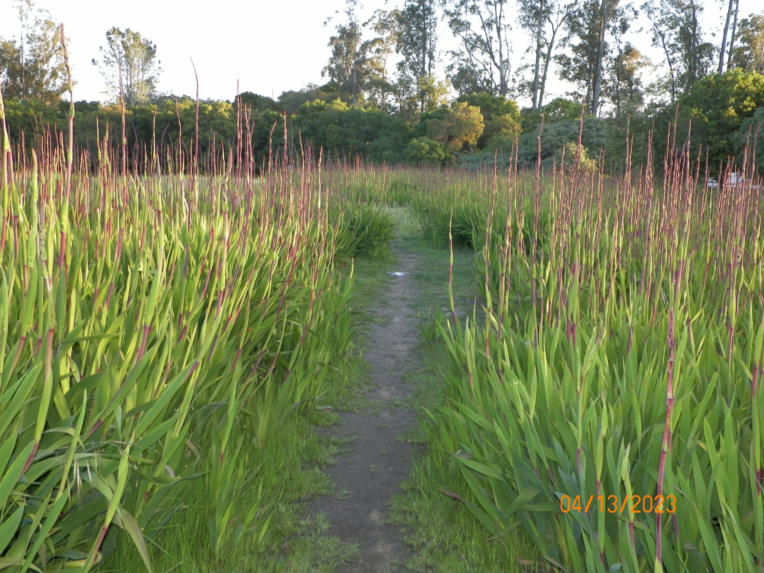 Hash Twelve-40: Hill Hell and PO Plethora - Surf City Hash House Harriers