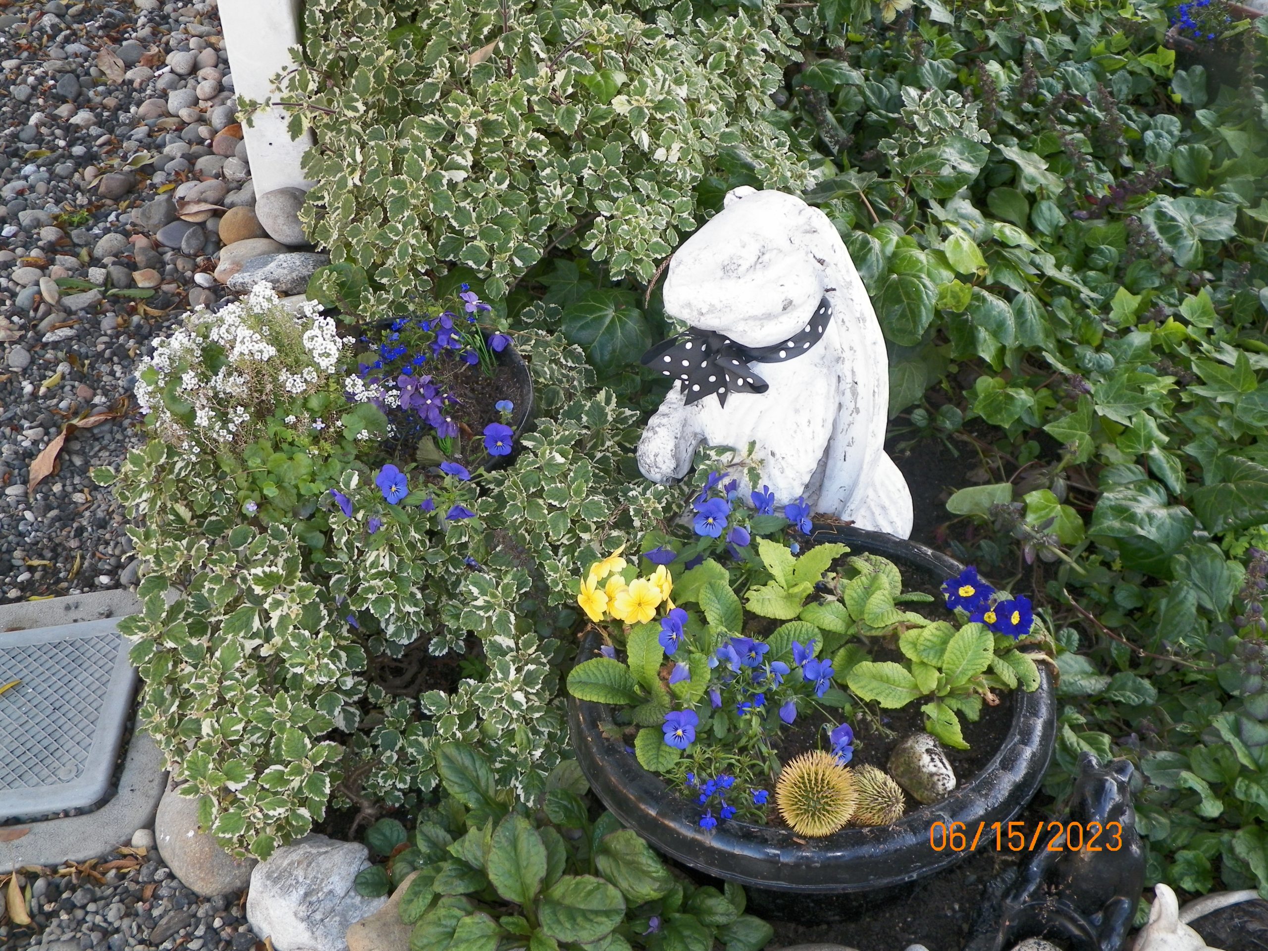 Hash Twelve-50: Getting Boxed in the Jewel Box - Surf City Hash House ...