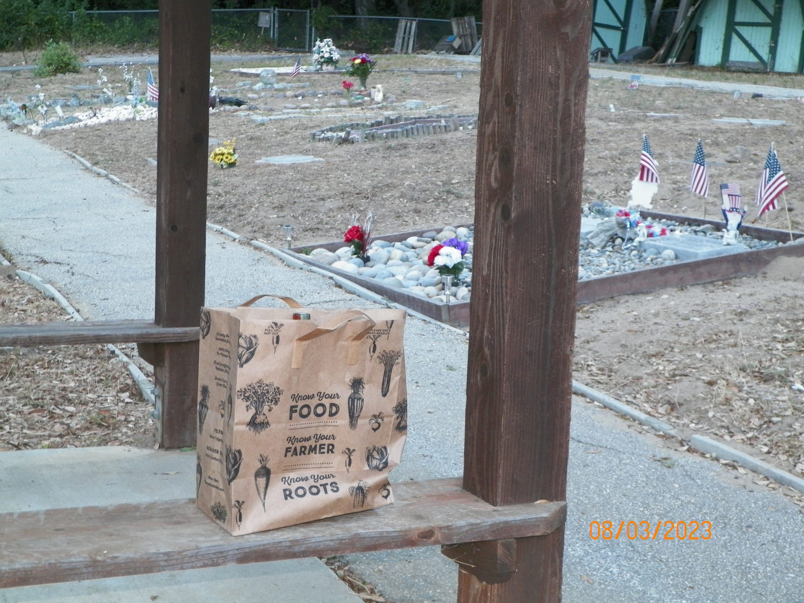 Hash Twelve-60: Pink and Hareless does not mean it's fun to play with ...