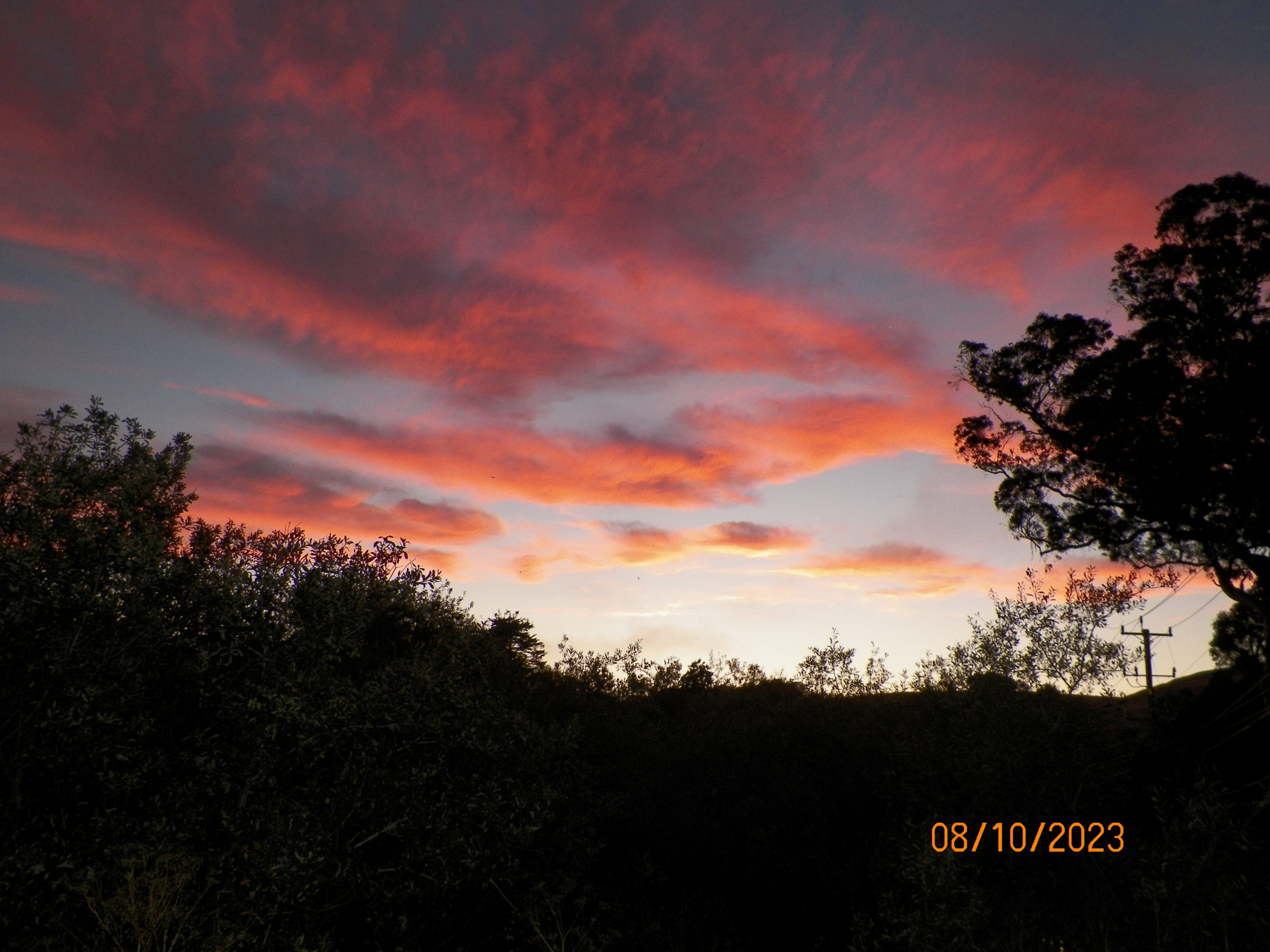 Hash Twelve-61: No more of Moore, pleeze! - Surf City Hash House Harriers